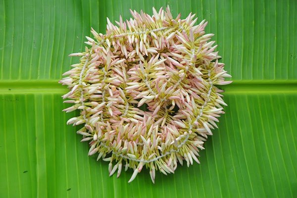 Best Millet Online Tamilnadu Vaigai Supermarket Store In Qatar.